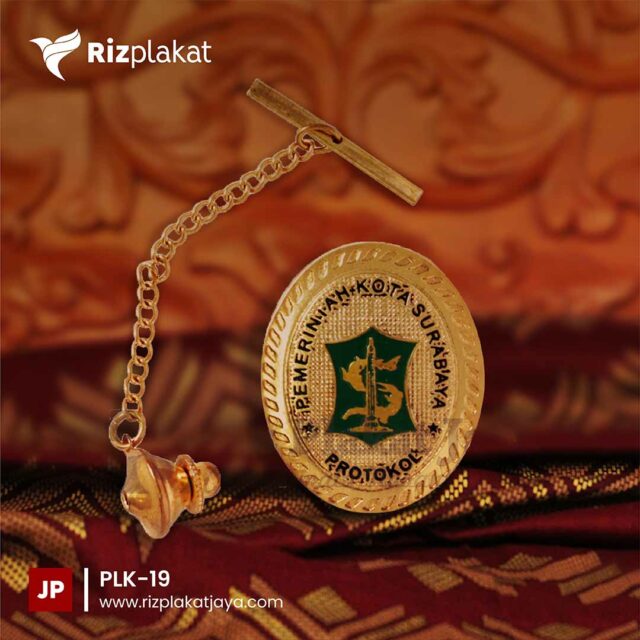 Aturan Penggunaan Pin ASN di Acara Resmi